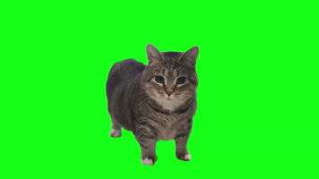 u i i a Meme Sound Effect - Voicy