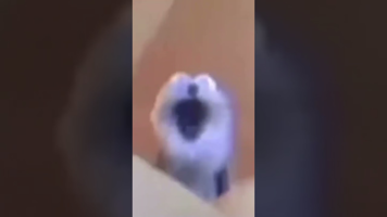 AAAAAAAHHHHHHH Meme Sound Effect - Voicy