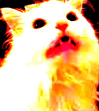 Whopper Weeee Sounds and Sound Effects - Voicy