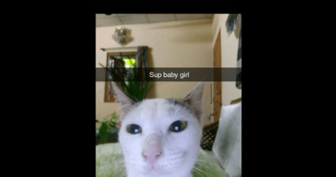 one eye man Meme Sound Effect - Voicy