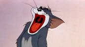 Tom Jerry Sounds and Sound Effects - Voicy