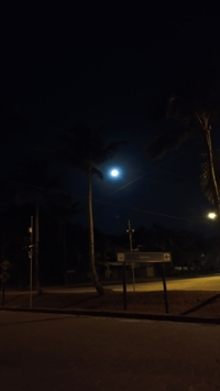 lobo pidão Meme Sound Effect - Voicy