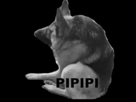 PI P I PI Meme Sound Effect - Voicy