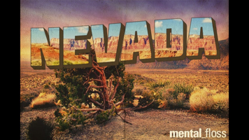 Nevada song Meme Sound Effect - Voicy