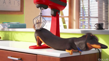 what da dog doin Meme Sound Effect - Voicy