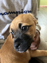 breaking keyboard Meme Sound Effect - Voicy