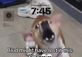 Splice percusion 122 BMP Meme Sound Effect - Voicy