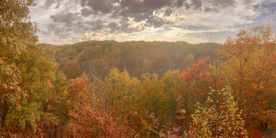 YOU DA FEDS! Meme Sound Effect - Voicy