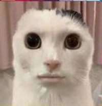 funny growl Meme Sound Effect - Voicy