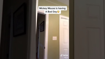 Mickey beats up donald and goofy Meme Sound Effect - Voicy