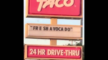 Fresh Shavocado Meme Sound Effect - Voicy