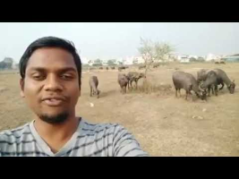 get beamed by monkey squad (fortnite burger gang) Meme Sound Effect - Voicy