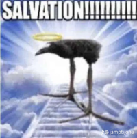 DAMN!!!!!!!!!!!!!!!!!!!!!!!!!!!!!!!!!!!!!!!!!!!! Meme Sound Effect - Voicy