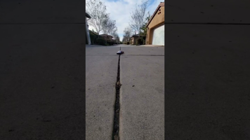 neom Meme Sound Effect - Voicy