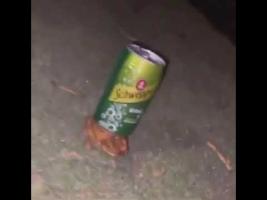 Frog with the Ginger Ale Meme Sound Effect - Voicy