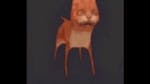 Huh Cat Meme Sound Effect - Voicy