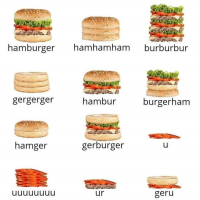 Hamburger meme Meme Sound Effect - Voicy