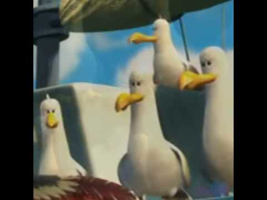 Finding Nemo Birds saying mine Meme Sound Effect - Voicy
