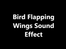 Bird Flapping Wings 7 Meme Sound Effect - Voicy