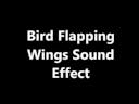 Official Wings Sound Effects Soundboard - Voicy