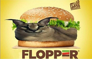 floppa whoppa Meme Sound Effect - Voicy