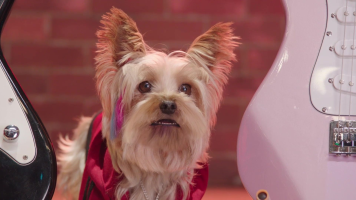 @cuteness_overload said whatttt Meme Sound Effect - Voicy