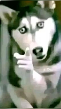 Fahhhh Meme Sound Effect - Voicy