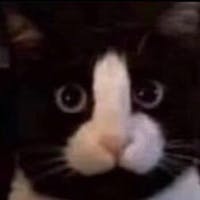 You Stupid ni Sound Clip - Voicy