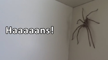 HANS GET ZE FLAMMENWERFER! Meme Sound Effect - Voicy