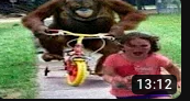 Real ahh whit Meme Sound Effect - Voicy