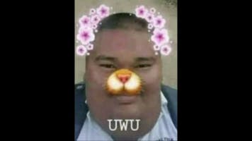 Doofy Sound Effect Soundboard - Voicy