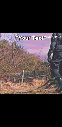 Sad Music Meme Sound Effect - Voicy