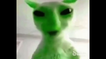 green alien sigma Meme Sound Effect - Voicy