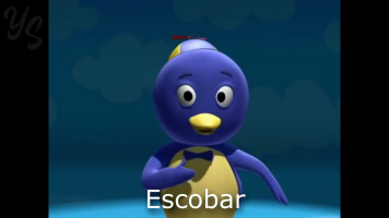 Pablo Escobar Meme Meme Sound Effect - Voicy