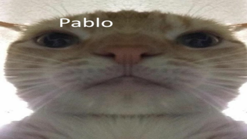 pablo Meme Sound Effect - Voicy