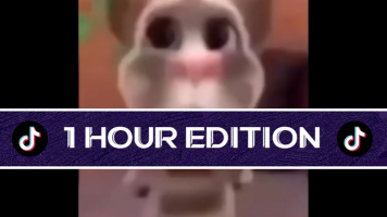 boi what the hell boi Meme Sound Effect - Voicy