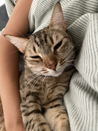 Fart with Reverb Meme Sound Effect - Voicy