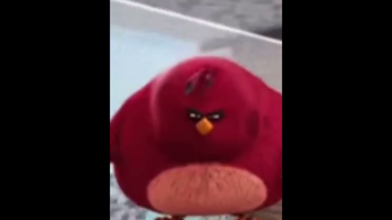 angry birds sound Meme Sound Effect - Voicy