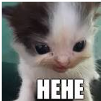 What THE GYATT Meme Sound Effect - Voicy