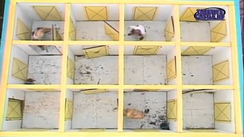 looks like a hamster in an experiment Meme Sound Effect - Voicy