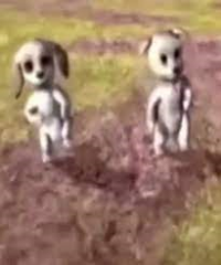 those 2 dogs on tiktok Meme Sound Effect - Voicy