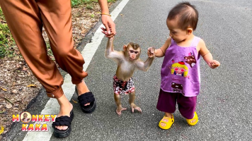 ayo dog ̿̿ ̿̿ ̿̿ ̿'̿'\̵͇̿̿\з= ( ͜͞ʖ ) =ε/̵͇̿̿/’̿’̿ ̿ ̿ Meme Sound ...