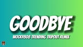 goodbye goodbye Meme Sound Effect - Voicy
