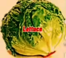 Autotune Lettuce Meme Sound Effect - Voicy