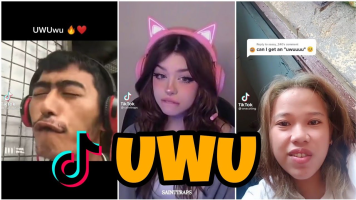 Uwu TikTok Trend Compilation Meme Sound Effect - Voicy