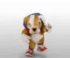 Chacarron Dog Meme Sound Effect - Voicy