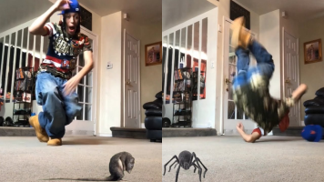 oh shiii Meme Sound Effect - Voicy