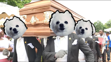 Coffin dance(Gabe the dog) Meme Sound Effect - Voicy