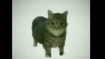 OIIAOIIA Meme Sound Effect - Voicy