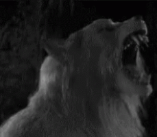 Werewolf Growl Meme Sound Effect - Voicy